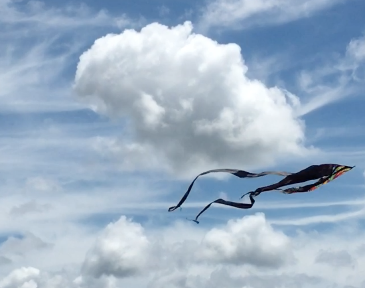 Go Fly a Kite - Lucy Tobias